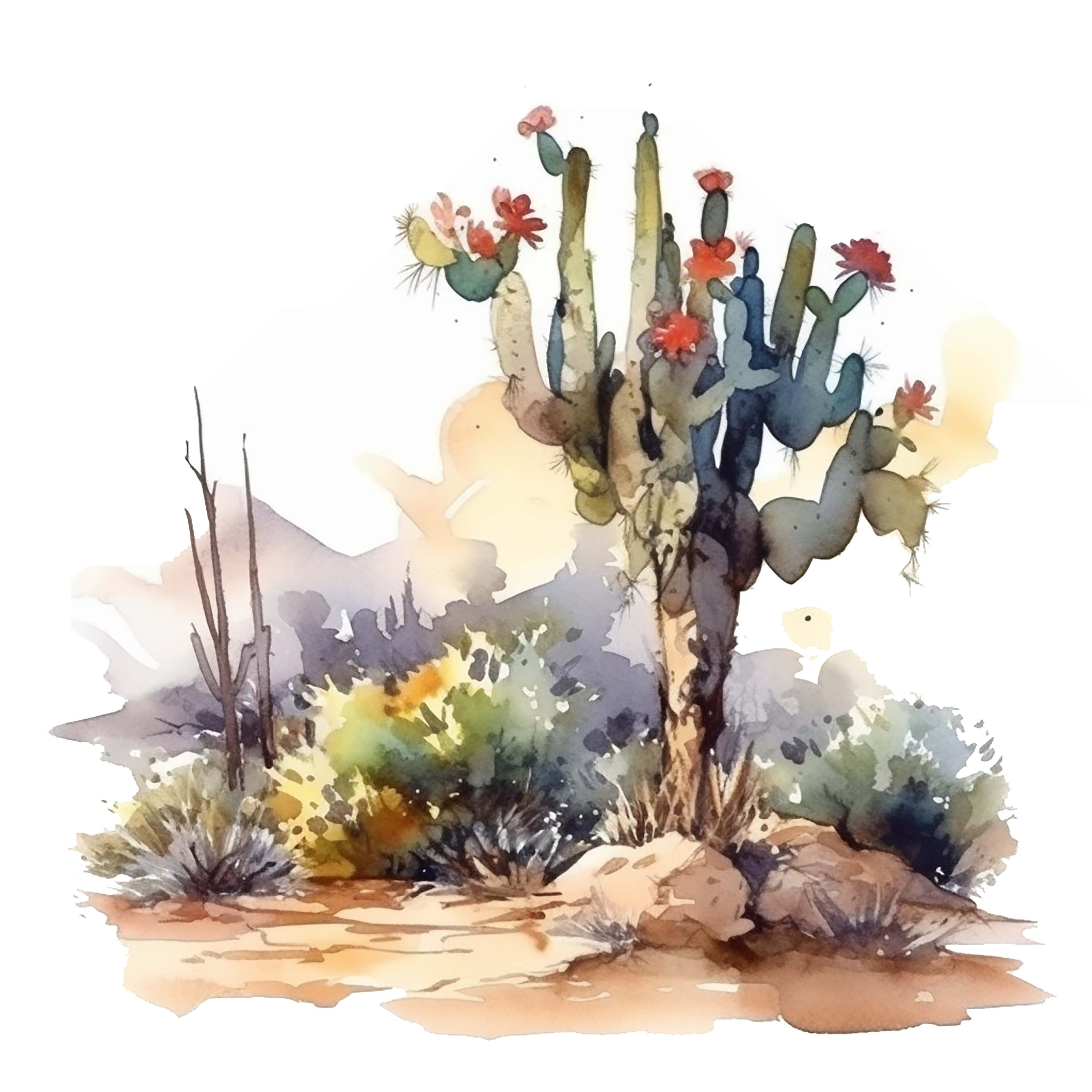 11 Watercolor Desert Clipart, Cactus Clipart, Jpgs, Commercial Use ...