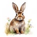 20 Spring Hare Clipart Jpgs, Printable Watercolor Clipart, Sping Rabbit ...