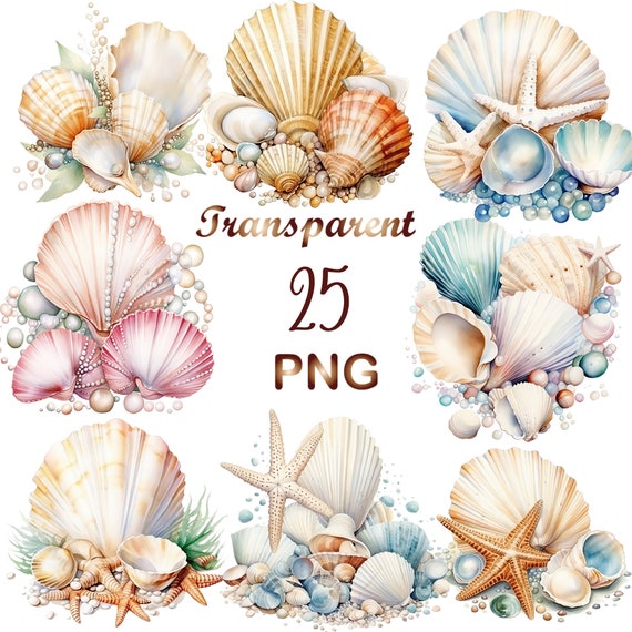 Muscheln Am Strand Clipart Verschiedene Muscheln Auf Dem Strand Sand,