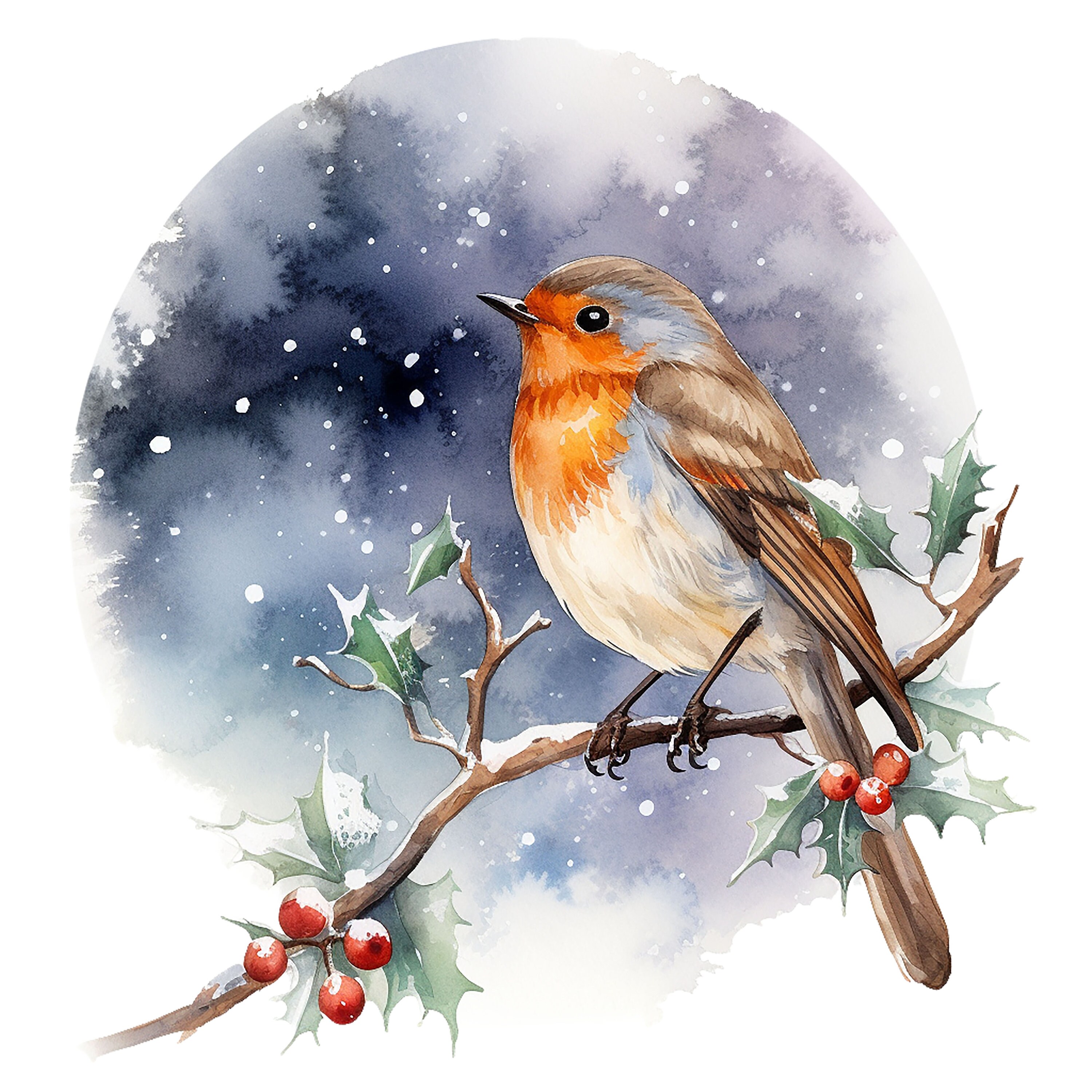 25 Christmas Robin Clipart Jpgs Watercolor, Digital Planner, Journals ...
