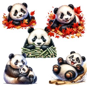 31 PNG, Cute Panda Clipart, Adorable Panda Clipart Bundle, Panda Pack ...