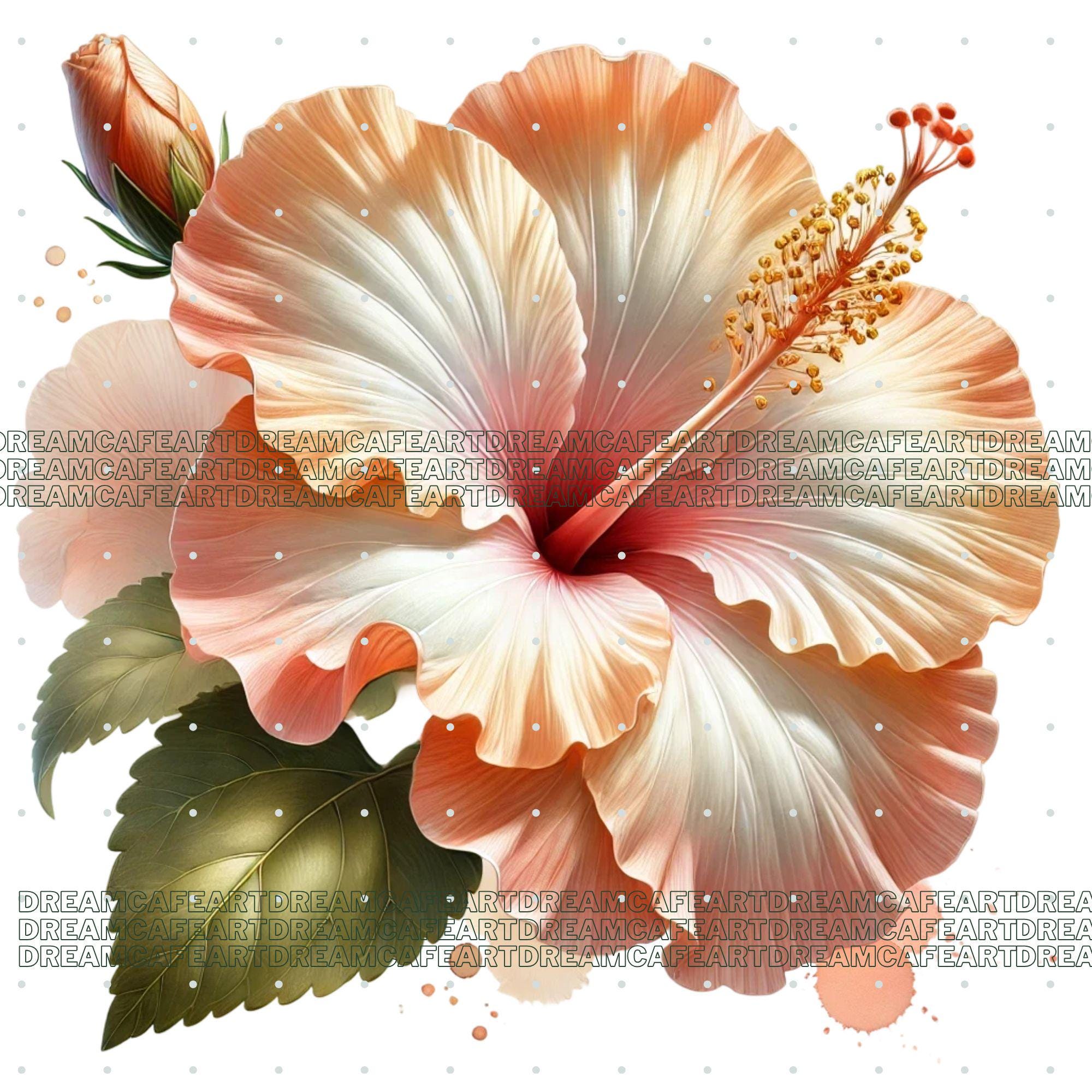 90 PNG Tropical Hibiscus Clipart Bundle | Bright Floral Illustrations ...