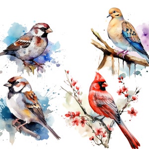 40 Watercolor Bird Clipart Png, Woodcock Bird Png, Goldfinch Bird ...