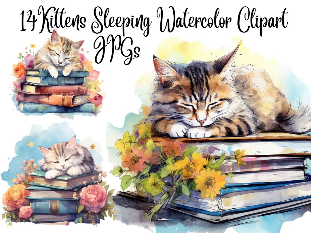 14 Watercolor Cute Kittens Sleeping on Stack of Books Clipart - Etsy