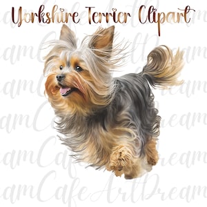 Yorkie Png, Yorkshire Terrier Png, Yorkshire Png, Yorkie Clipart ...