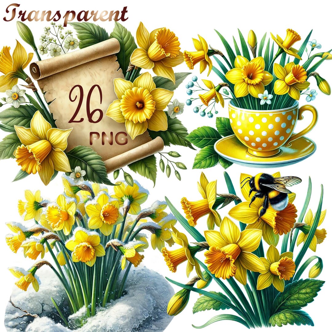 26 Narcissus Clipart Bundle: Spring Floral PNG Designs (digital ...