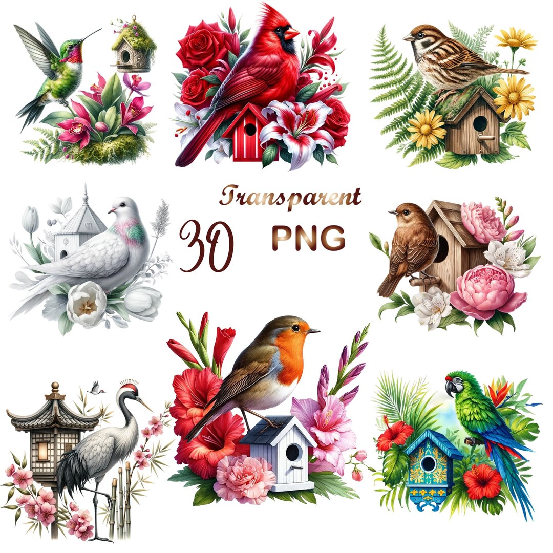 30 Watercolor Birds Clipart Bundle, Spring Birds Clipart, Birds Bundle ...