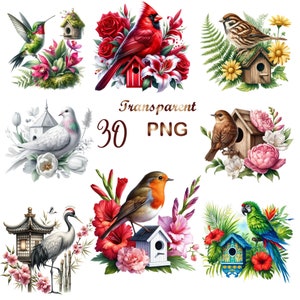 30 PNG Watercolor Floral Birds Clipart Bundle, Spring Birds Clipart ...