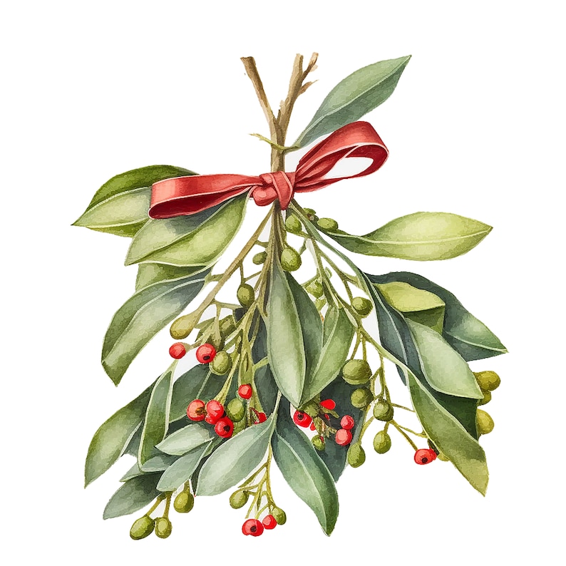 10 Mistletoe Clipart Christmas Clipart Jpgs Commercial Use - Etsy