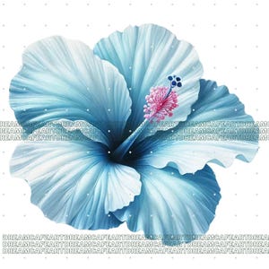 90 PNG Tropical Hibiscus Clipart Bundle | Bright Floral Illustrations ...