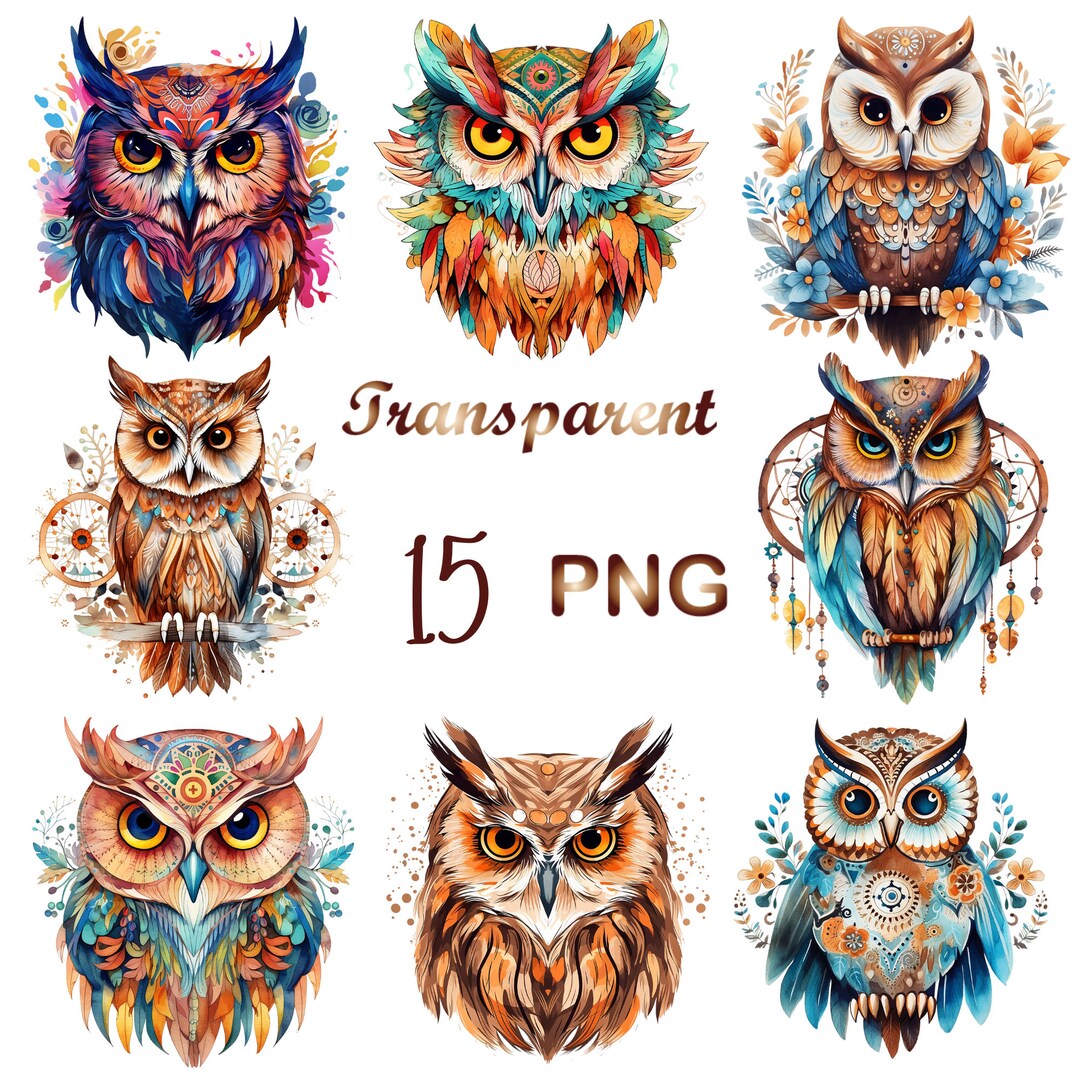 15 Boho Owl Watercolor Clipart PNG, Commercial Use, Digital Paper ...