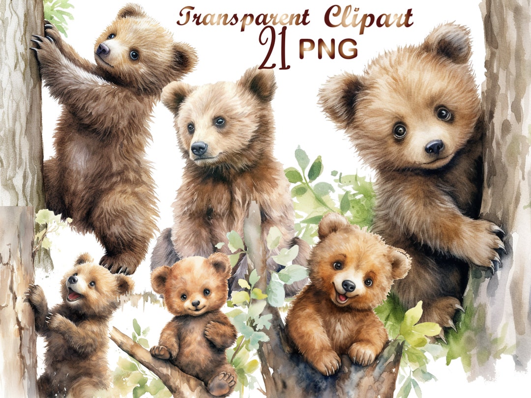 Watercolor Baby Bear Clipart, PNG, Clipart Bear, Woodland Animals, Cute ...