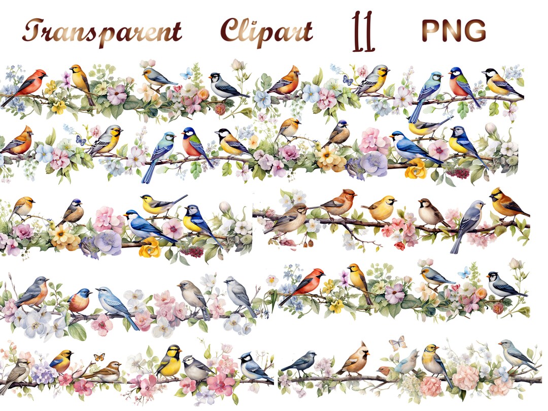 11 Watercolor Border Floral Bird Png, Floral Bird Clipart,watercolor ...