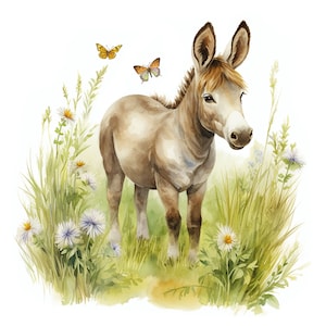 12 Happy Donkeys Clipart, Donkey Clipart, JPG, Commercial Use,digital Download, Card Making ...