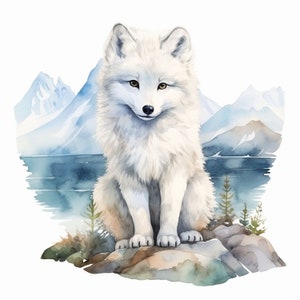 19 Winter Arctic Fox Clipart Jpgs, Printable Watercolor Clipart, Winter ...