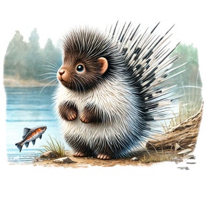 30 PNG Cute Porcupine Clipart Bundle, Cute Baby Porcupine Clipart ...