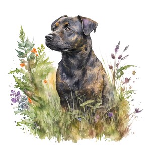 10 Patterdale Terrier Clipart High Quality Jpgs Commercial - Etsy UK