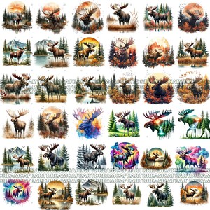 50 PNG Moose Clipart Bundle | Moose Drawing Graphics | Digital Download ...