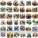 50 PNG Moose Clipart Bundle | Moose Drawing Graphics | Digital Download ...