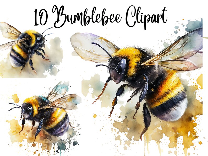 Watercolor Bumblebee Clipart, High Quality Jpgs (digital Download) - Etsy