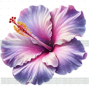 90 PNG Tropical Hibiscus Clipart Bundle | Bright Floral Illustrations ...