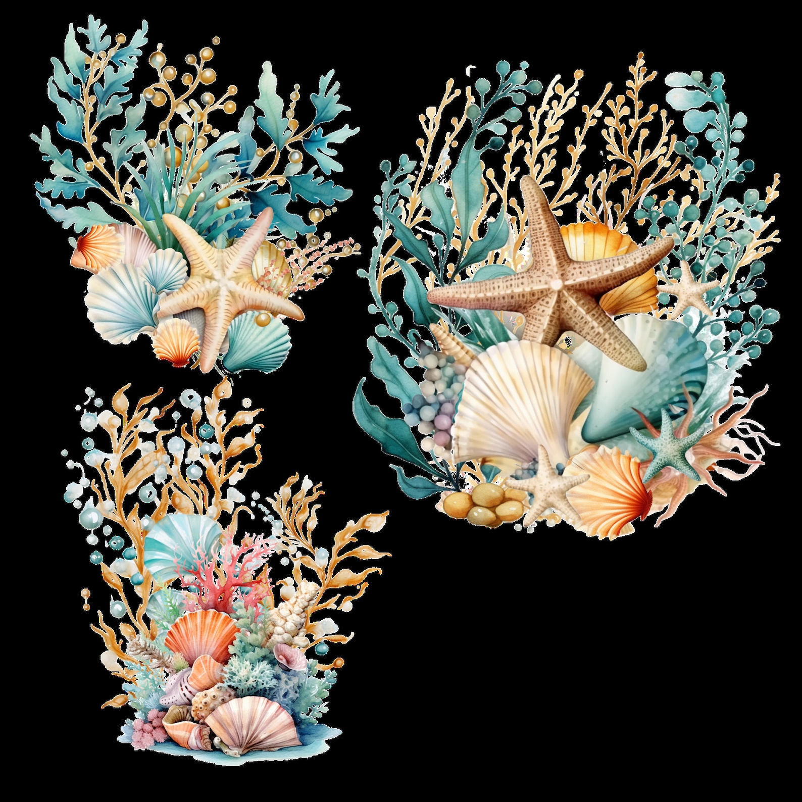 10 Watercolor Seashell Clipart PNG, Beach Clipart, Nautical Clipart ...