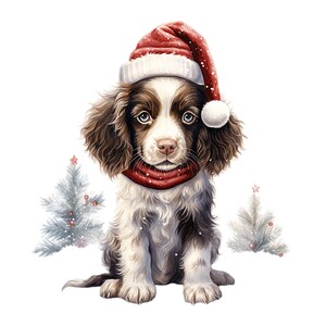 21 Watercolor Christmas English Springer PNG, Digital Clipart PNG ...