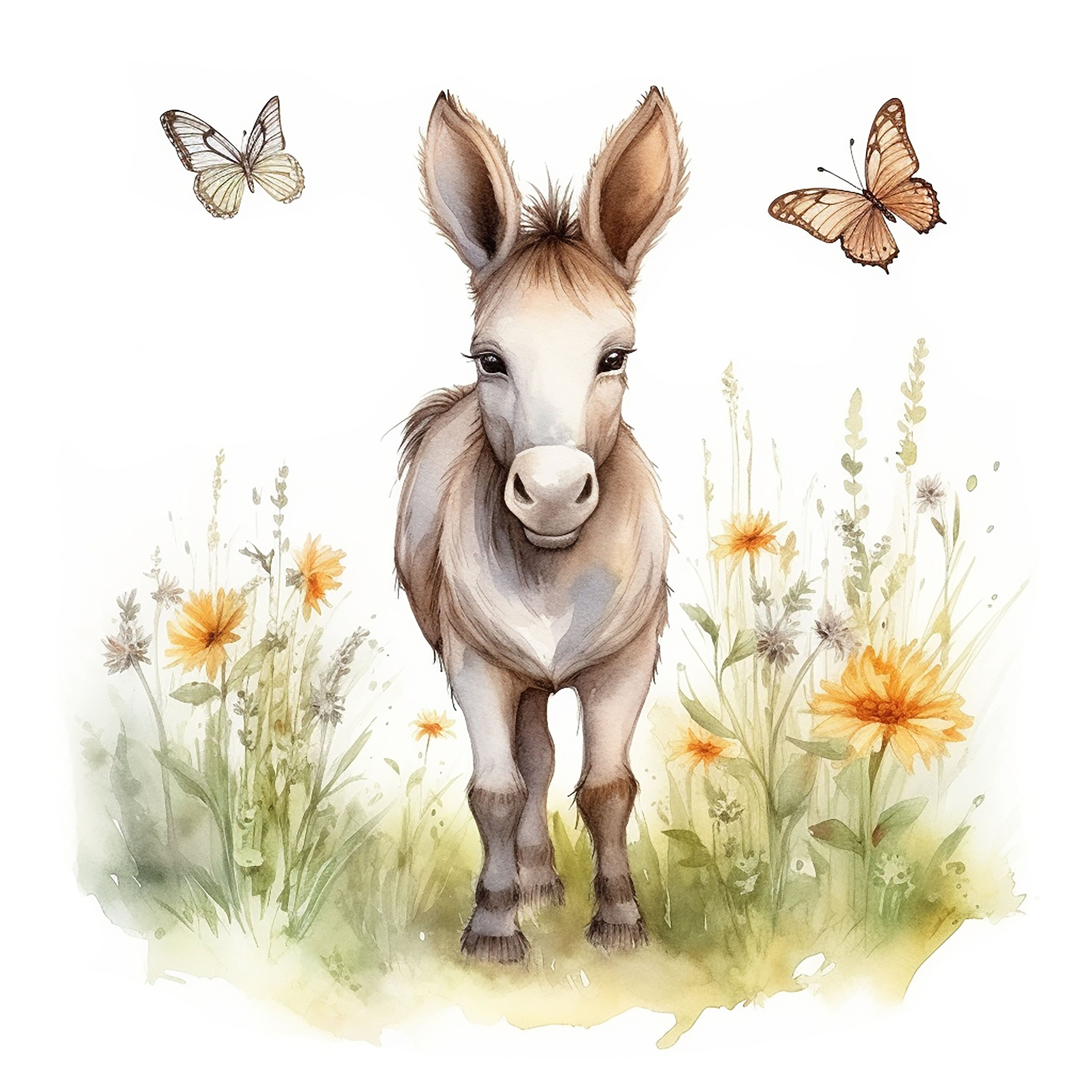 12 Happy Donkeys Clipart, Donkey Clipart, JPG, Commercial Use,digital ...