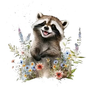 12 Raccoon Clipart, Watercolor Art, Jpgs, Commercial Use, Digital ...