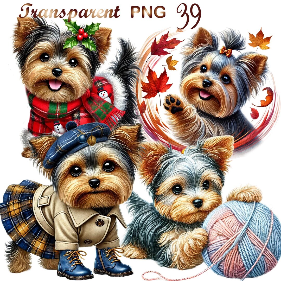39 PNG Yorkshire Terriers Clipart Bundle, Adorable Yorkie Graphics Designs, Instant Digital ...