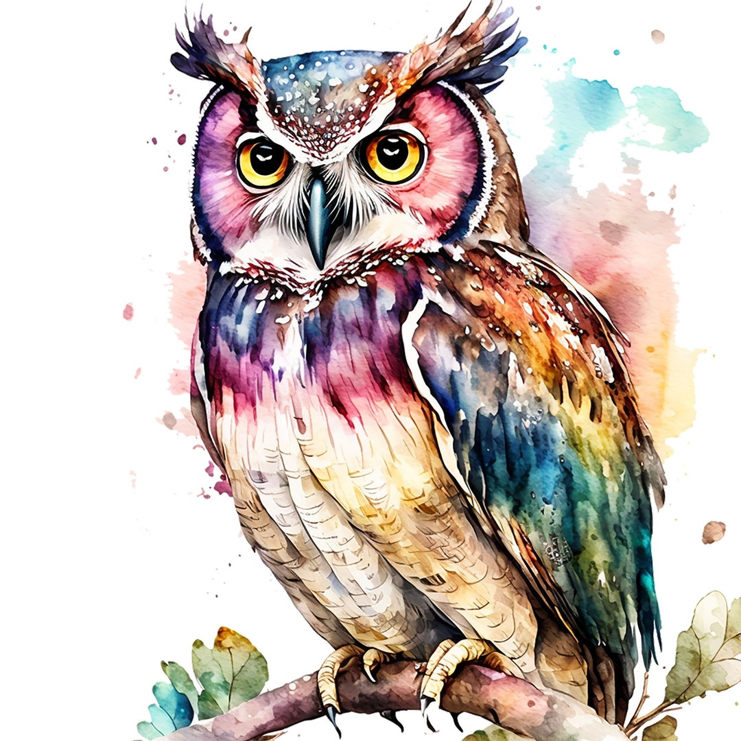 10 Owl Watercolor Clipart, Commercial Use,jpgs, Digital Paper Crafting ...