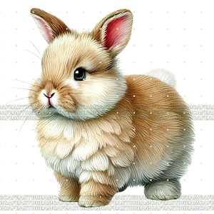 30PNG, Pastel Rabbit Clipart Bundle, Rabbit Graphics Designs ...