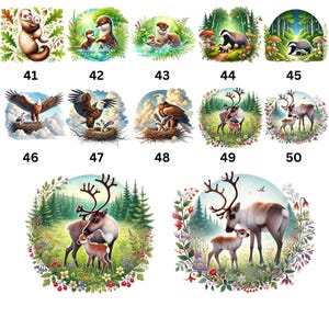 50 PNG, Woodland Clipart Bundle, Cute Forest Animals,forest Animals ...