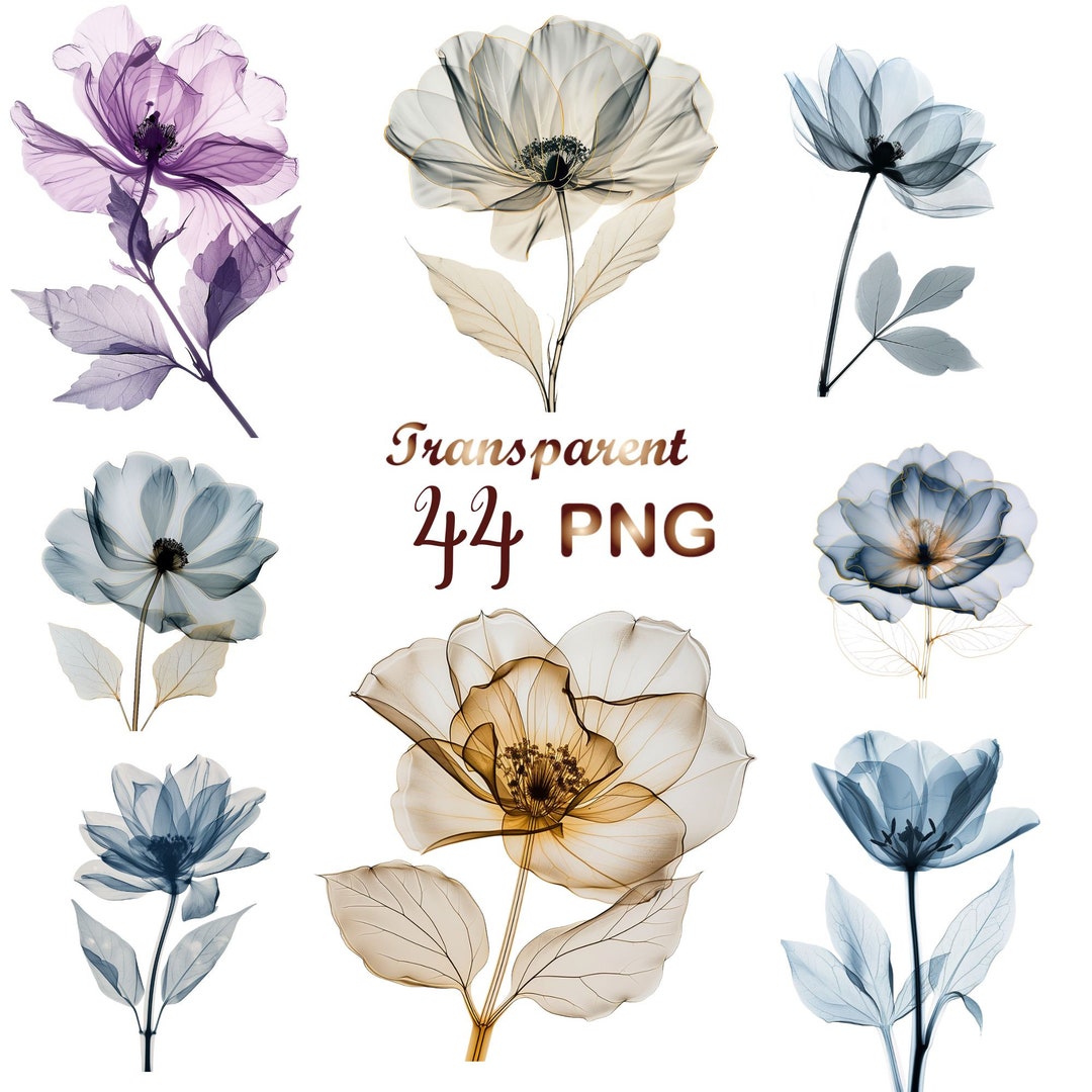 44 Pngs, Abstract Flowers Clipart Bundle, Dried Flowers, Printable ...