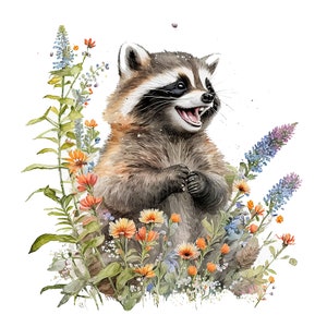 12 Raccoon Clipart, Watercolor Art, Jpgs, Commercial Use, Digital ...