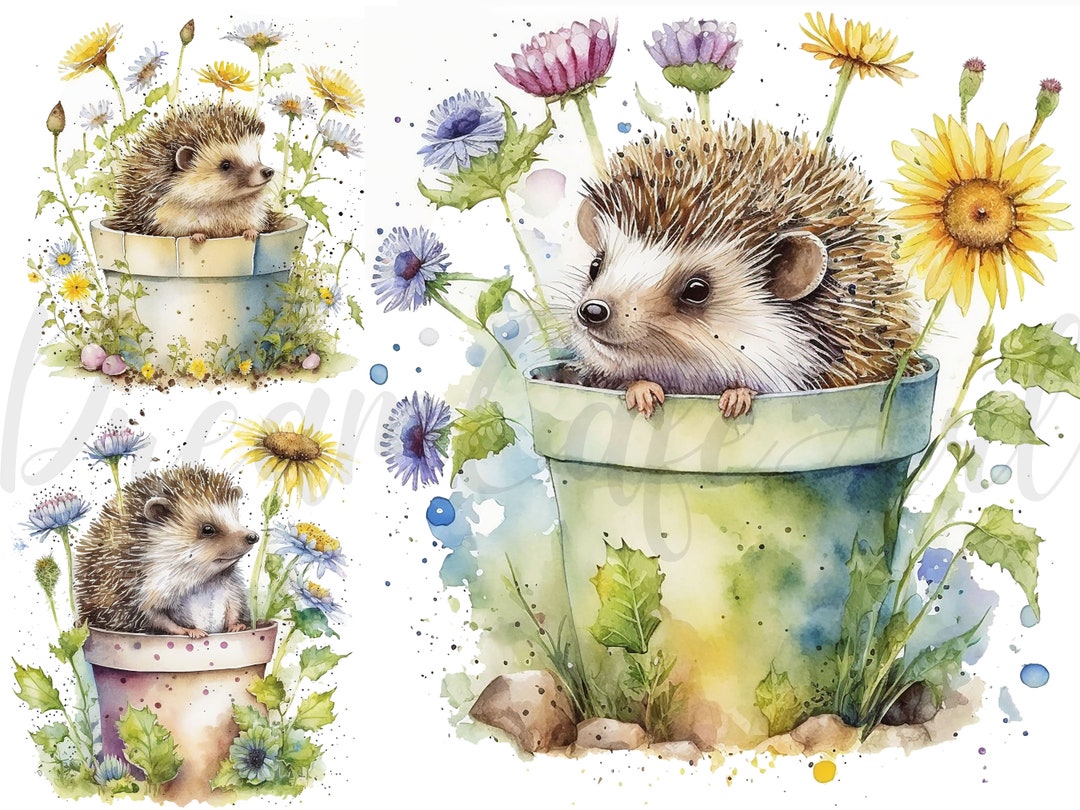 6 Floral Hedgehog Jpgs, Set 3, Commercial Use, Digital Download, Card ...