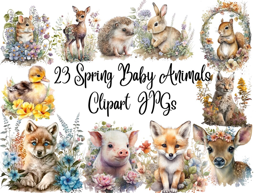 Watercolor Baby Animals Clipart: 23 Wild Spring Jpgs (commercial Use ...