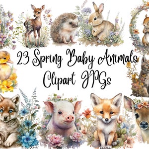 Watercolor Baby Animals Clipart: 23 Wild Spring Jpgs (commercial Use ...