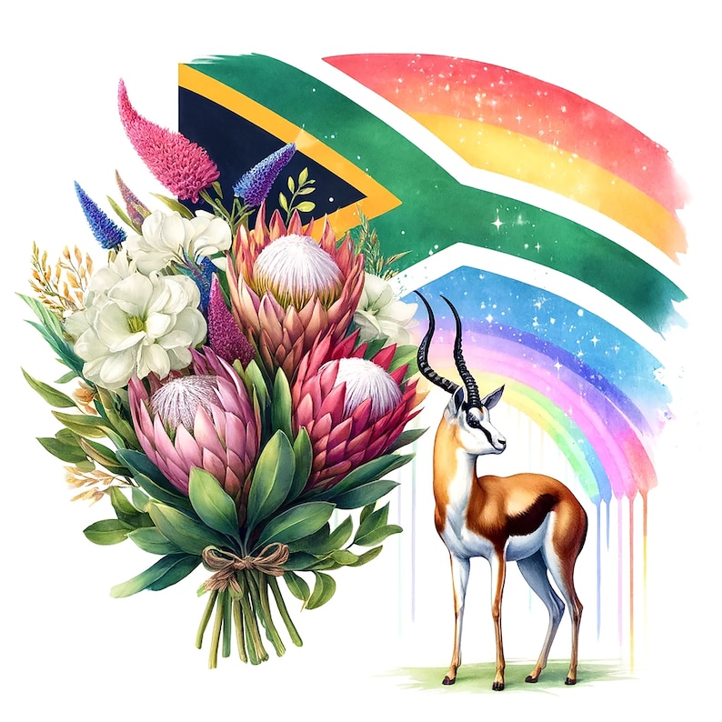 Watercolor African Springbok Clipart Bundle, 15 PNG/JPG South Africa ...