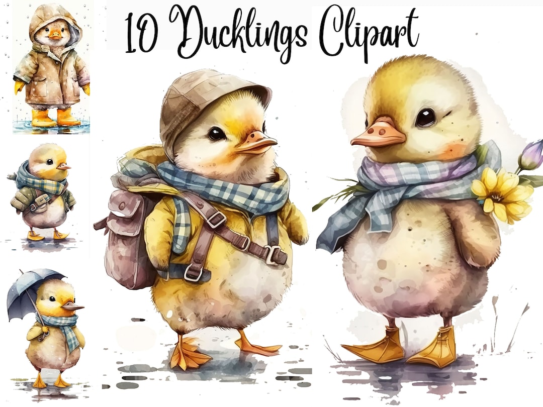 10 Ducklings Clipart, Baby Duck Clipart, Duckling, Animal Clipart ...