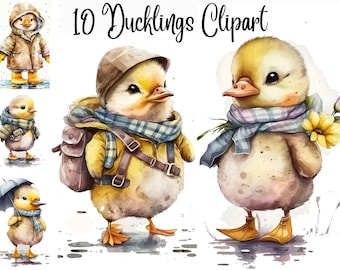 10 Ducklings Clipart, PNG, Baby Duck Clipart, Duckling, Animal ...