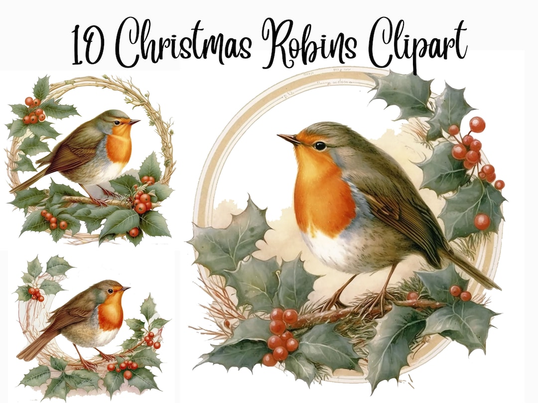10 Robin Clipart, Christmas Robin Clipart, Red Robin Clipart, Robin ...