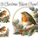 10 Robin Clipart, Christmas Robin Clipart, Red Robin Clipart, Robin ...
