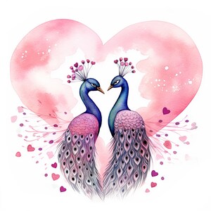 15 Peacocks Birds Clipart Jpgs, Valentine Peacocks Clipart, Valentines ...