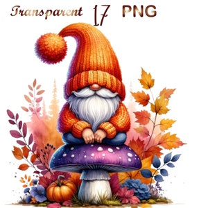17 Cute Gnome Clipart,gnome Clipart Bundle, Autumn Gnome Png,clipart ...
