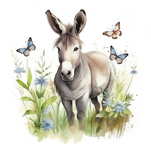 12 Happy Donkeys Clipart, Donkey Clipart, JPG, Commercial Use,digital Download, Card Making ...