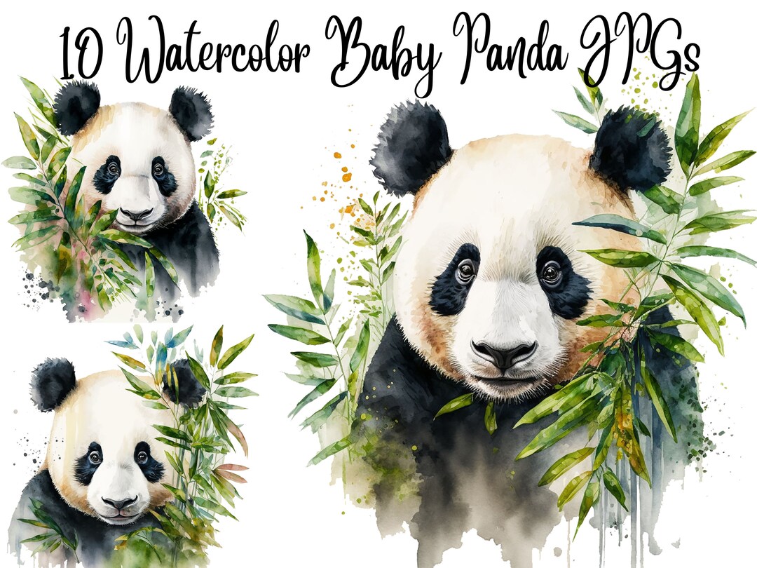 10 Panda Clipart, Watercolor Panda, Jpgs, Commercial Use, Digital ...