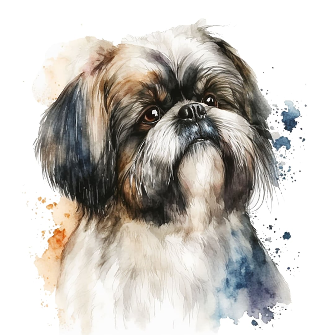 11 - Shih Tzu Clipart Jpgs, High Quality Jpgs, Watercolor Clipart ...