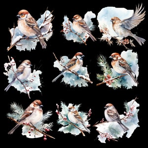 21 Sparrow Watercolor Clipart, Sparrows PNG Bundle, Watercolor Sparrow ...