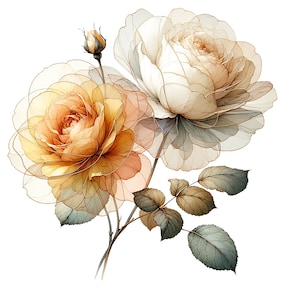 22 Jpgs, Abstract Roses Clipart Bundle, Dried Flowers, Printable ...